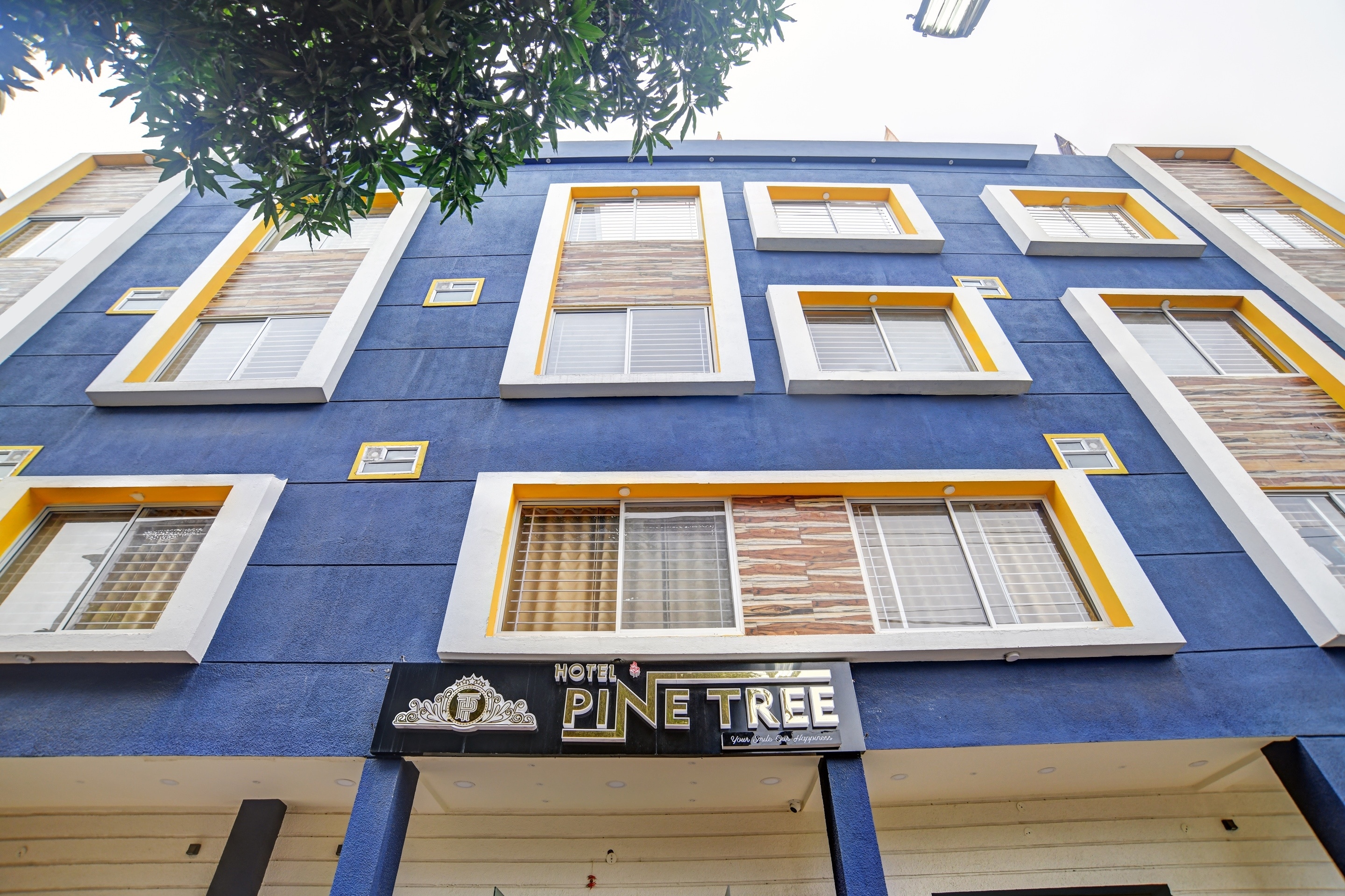 Townhouse Pine Tree, Townhouse Indore, Book @ ₹1520 - OYO