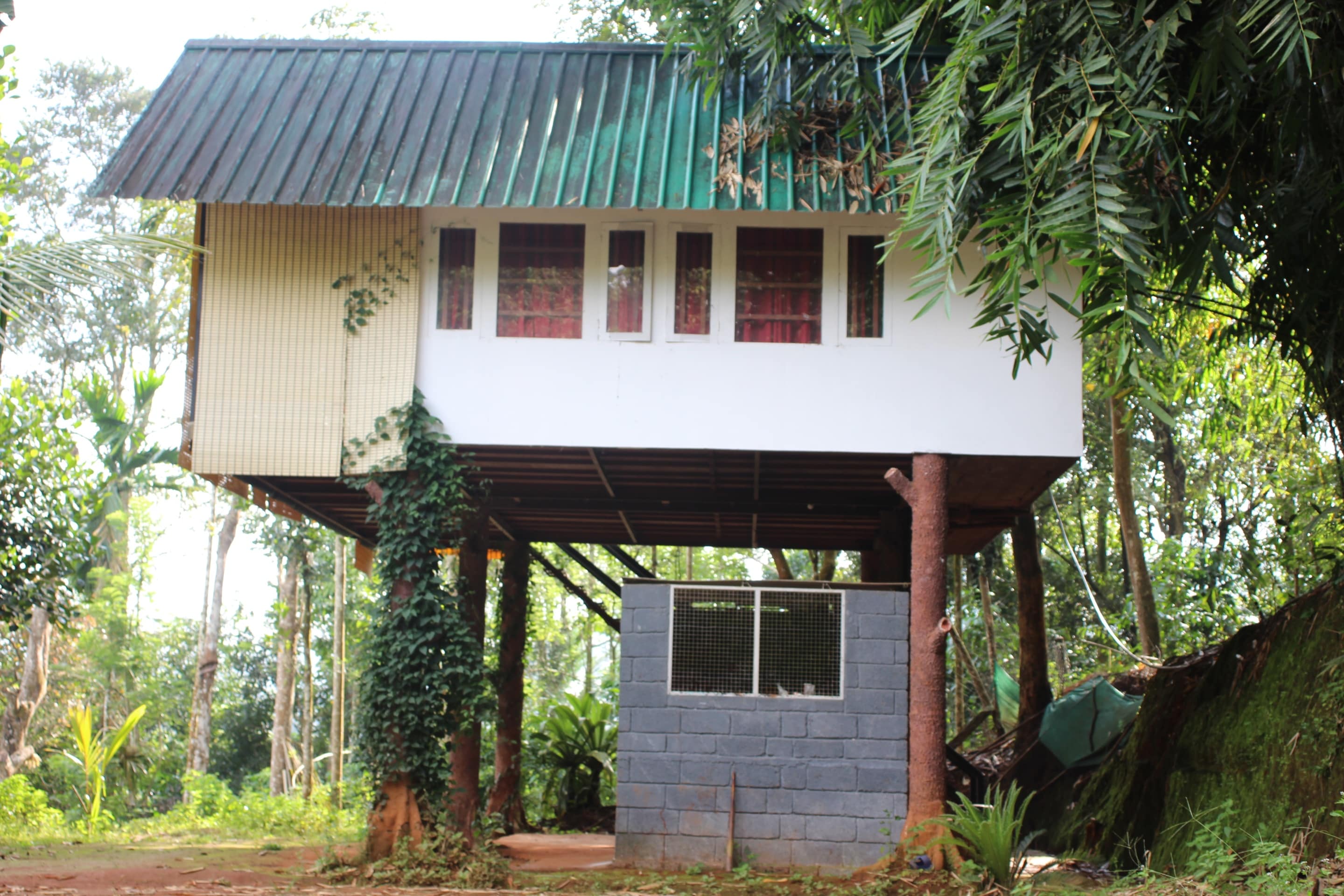 OYO Vythiri Tree House, OYO Rooms Wayanad, Book @ ₹445 - OYO