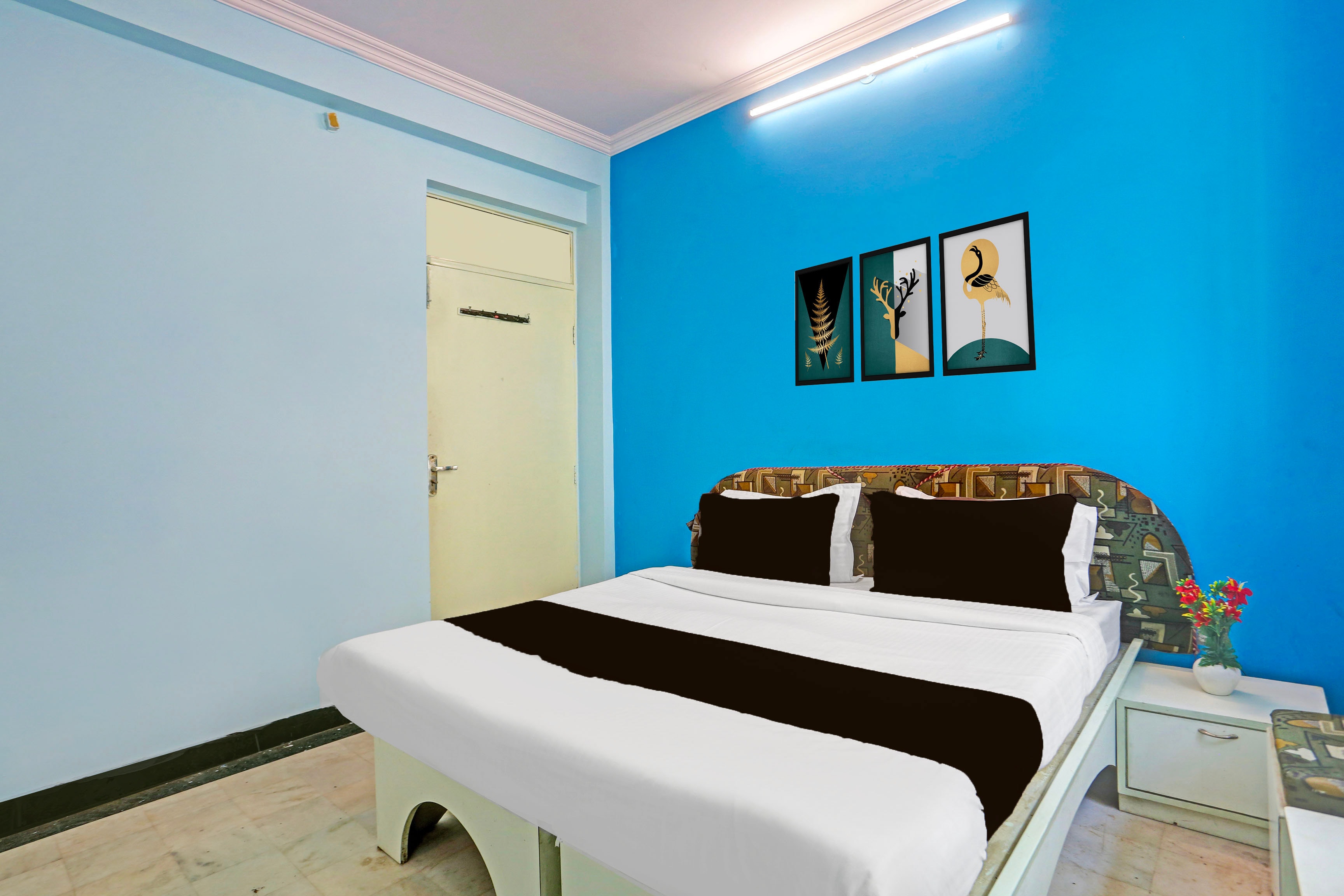 Collection O Bani Park | Official Website