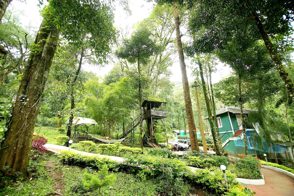 OYO 2842 Pallivasal, OYO Rooms Munnar, Book @ ₹1095 - OYO